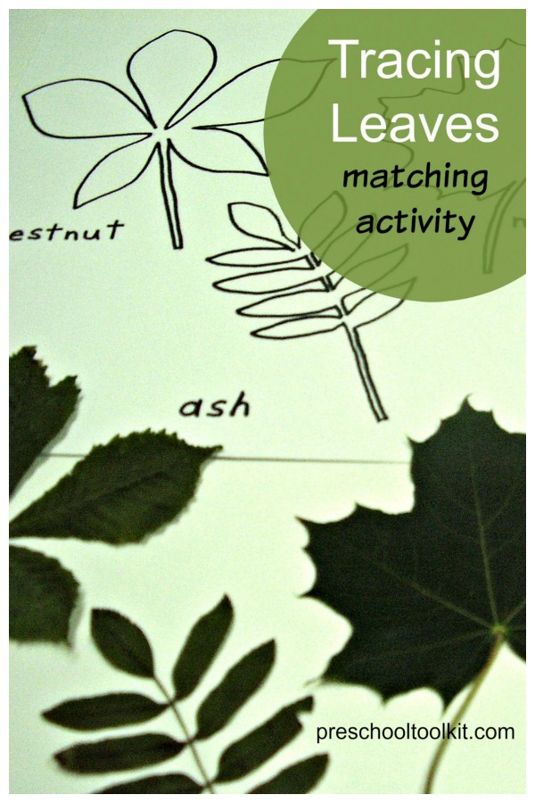 Tracing Leaves Fine Motor Preschool Activity » Preschool Toolkit